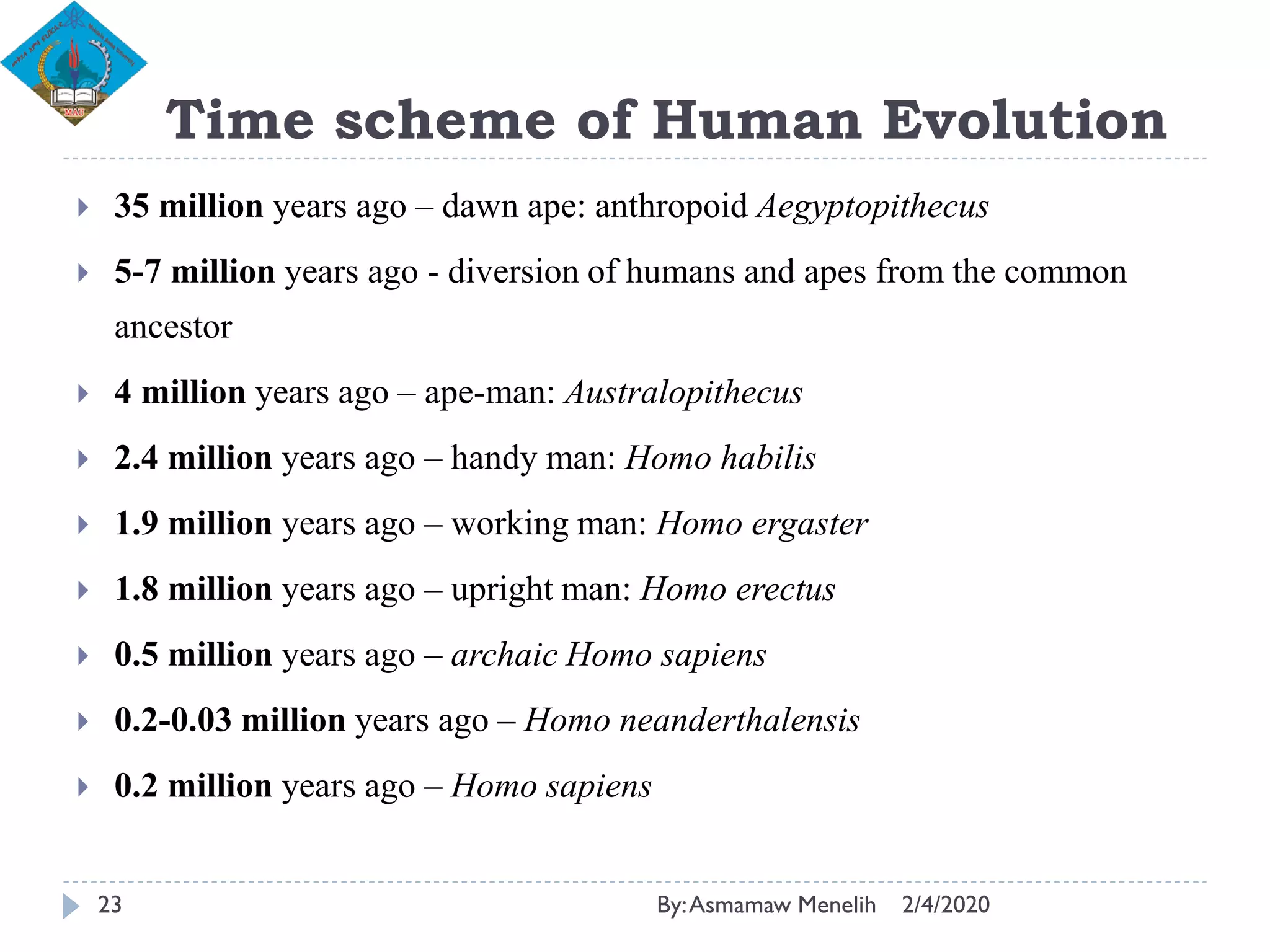 Human Evolution | PDF