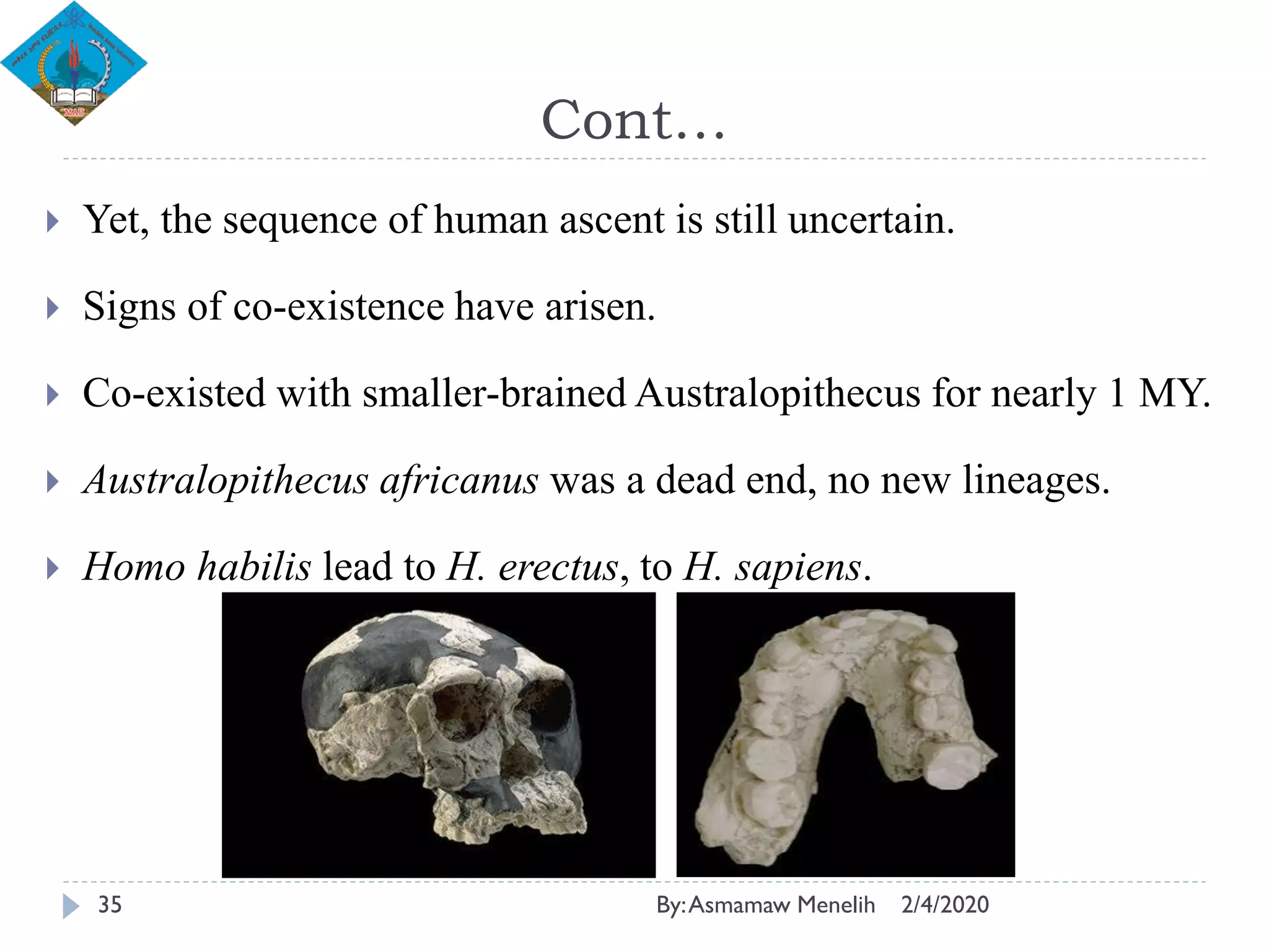 Human Evolution | PDF