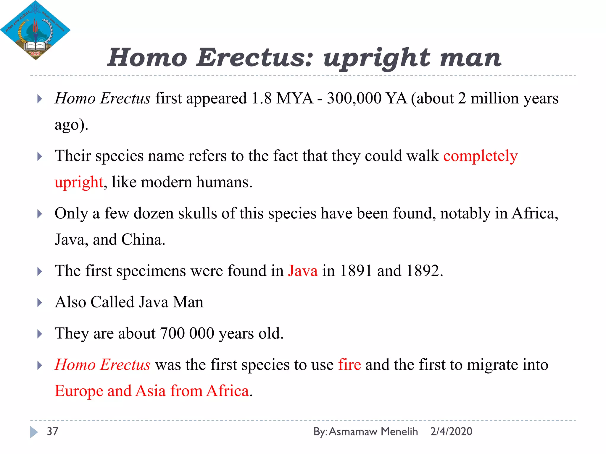 Human Evolution | PDF