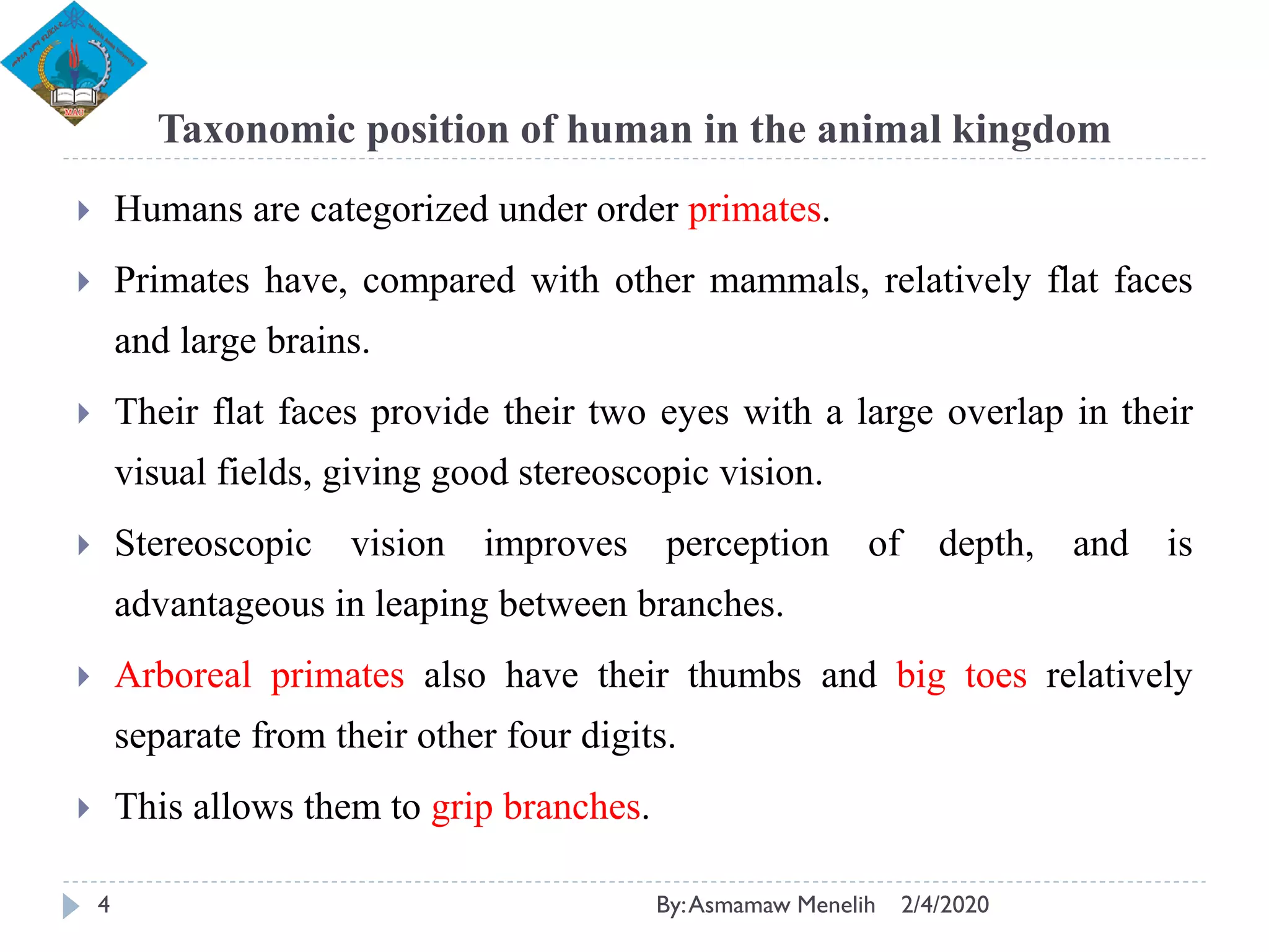 Human Evolution | PDF
