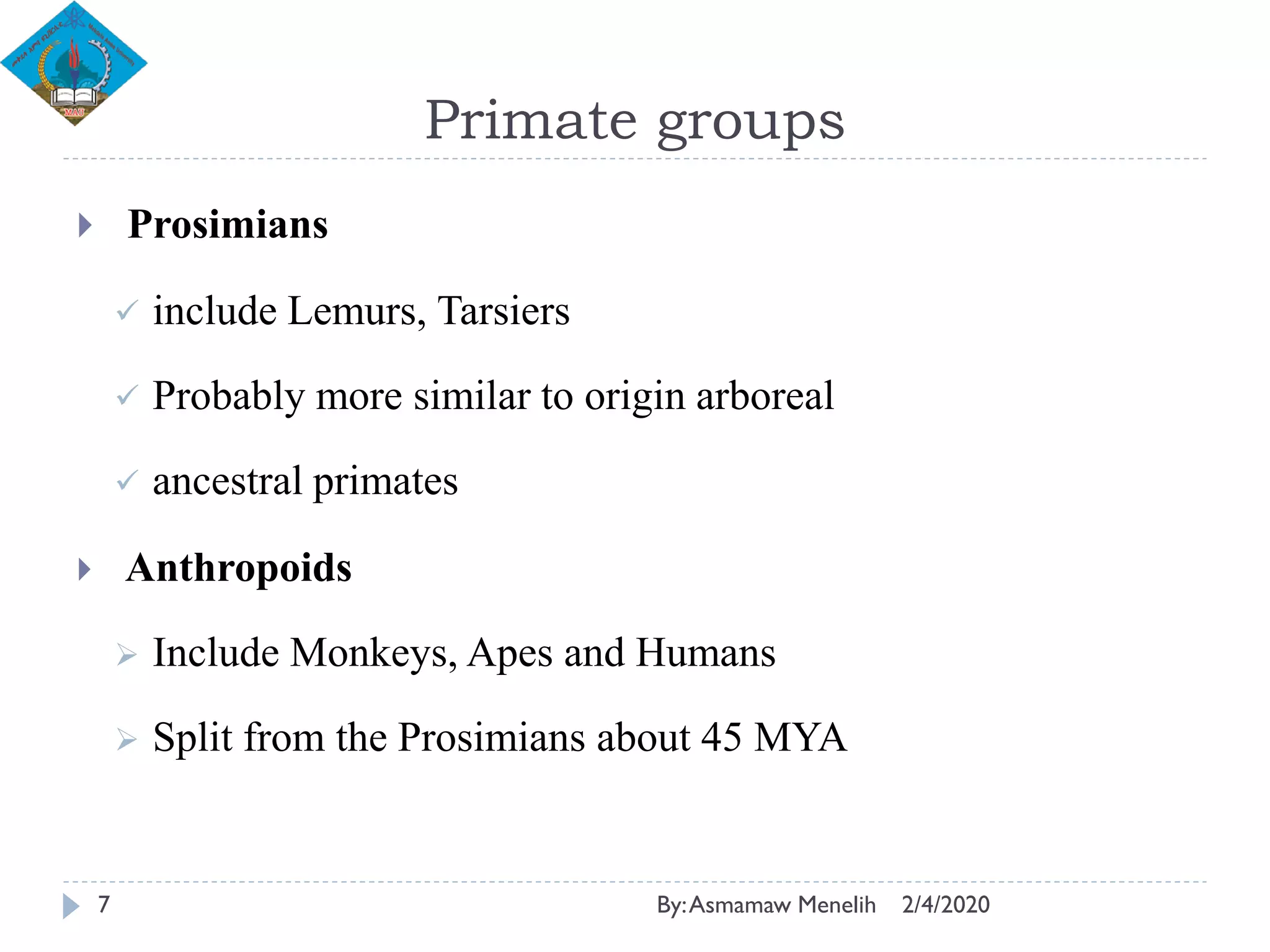 Human Evolution | PDF