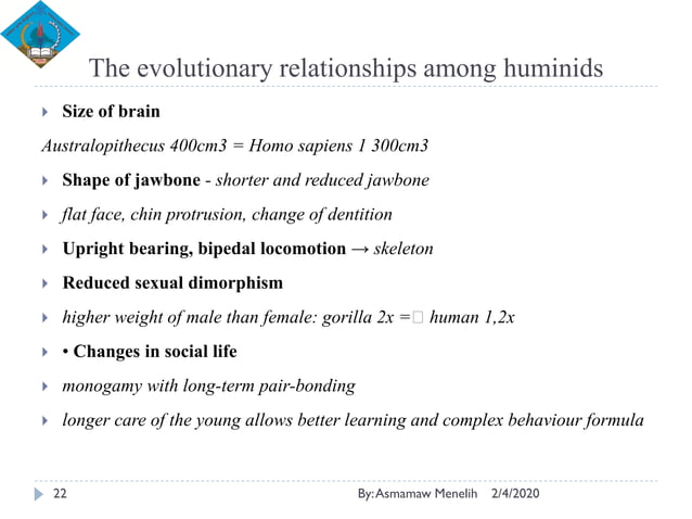 Human Evolution | PDF