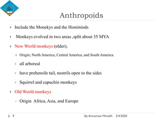Human Evolution | PDF