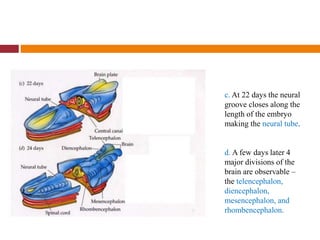 chapter7.ppt