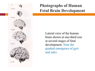 chapter7.ppt