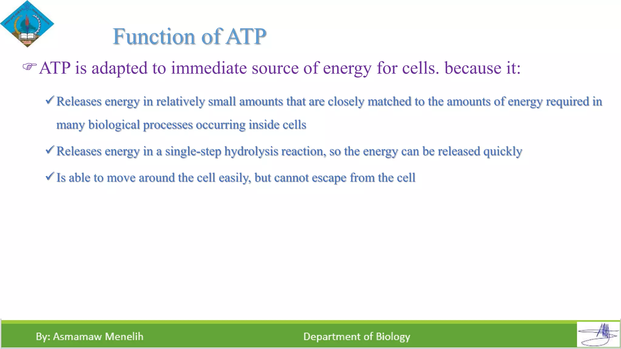 Cellular Respiration | PPTX