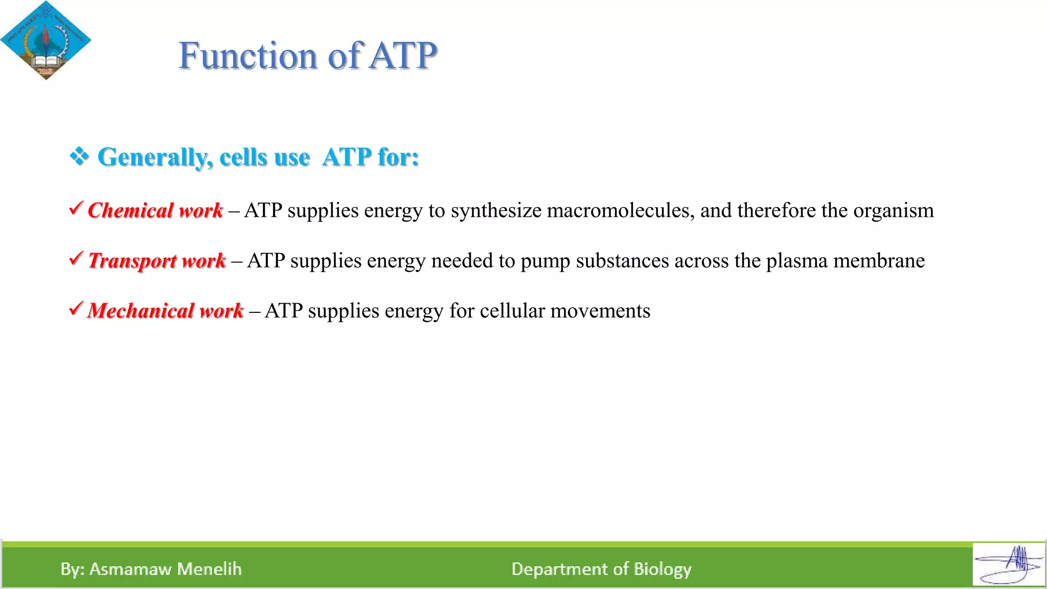 Cellular Respiration | PPTX