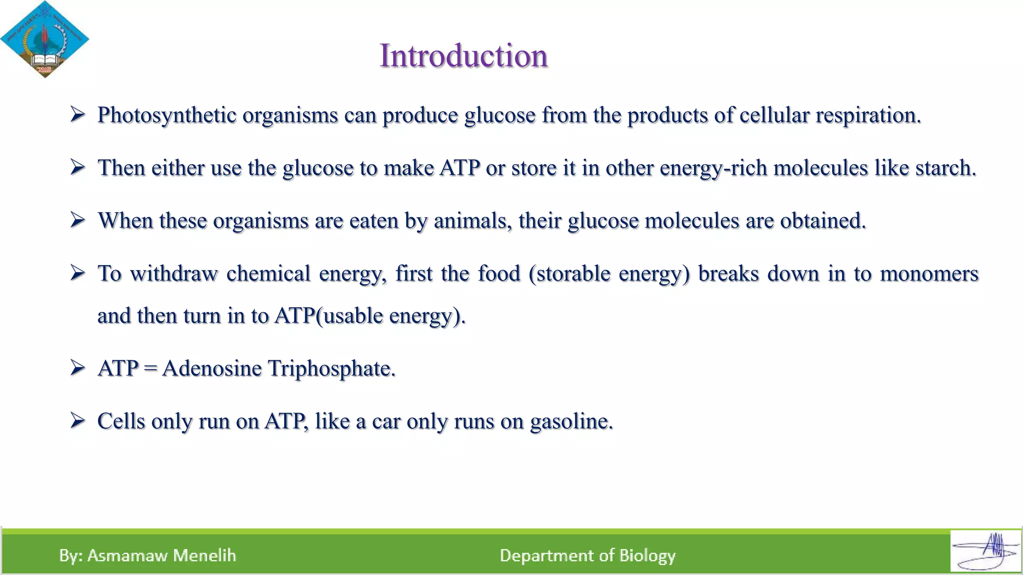 Cellular Respiration | PPTX
