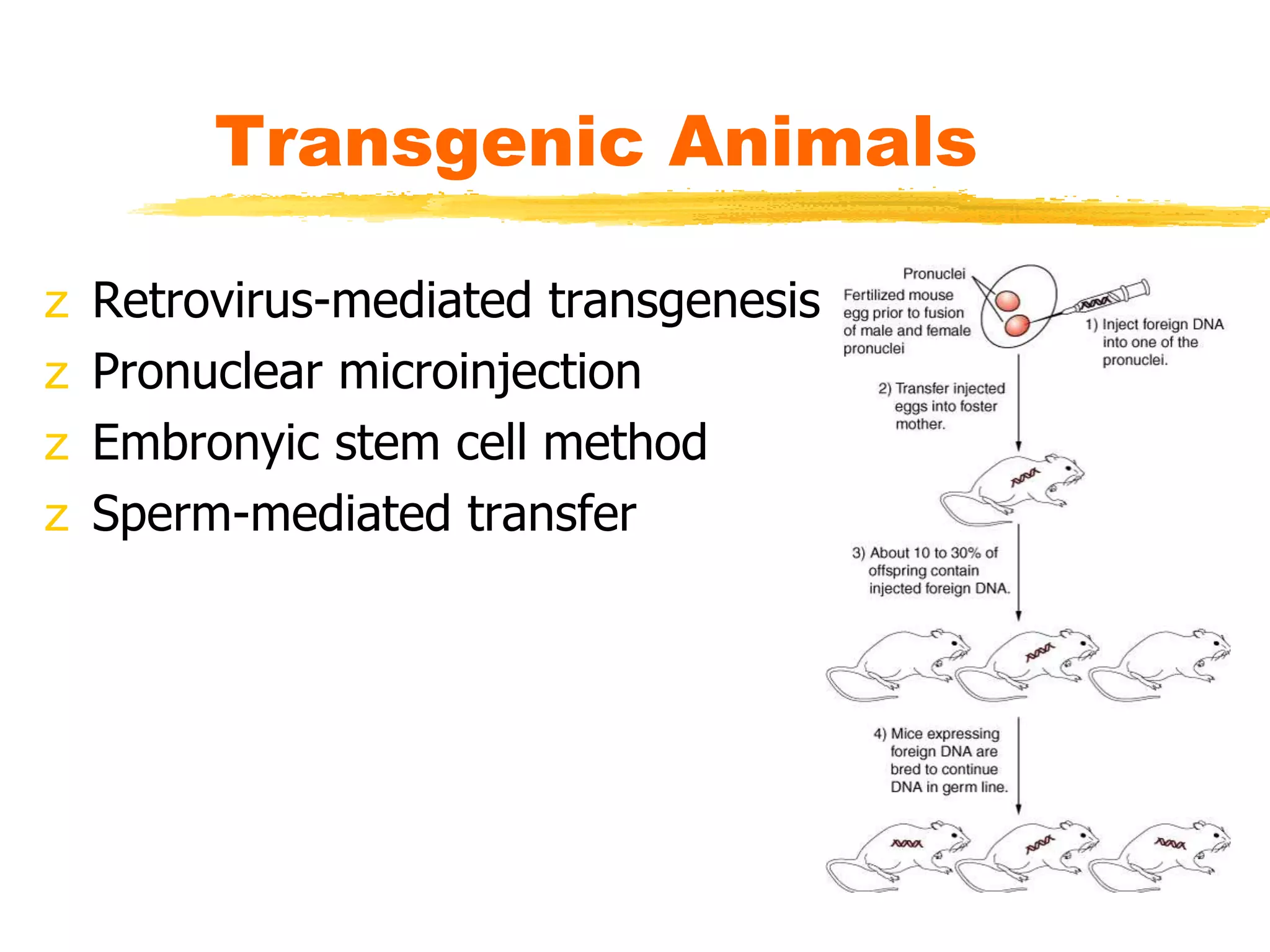Animal Biotechnology | PPT