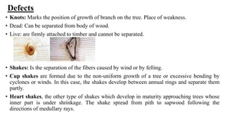 Chapter 7.pptx dnasjddddddddddddddddddddddd | PPT