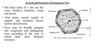 Chapter 7.pptx dnasjddddddddddddddddddddddd | PPT