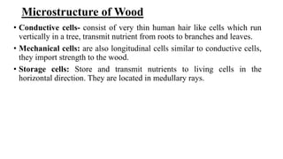 Chapter 7.pptx dnasjddddddddddddddddddddddd | PPT