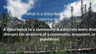 changes of community over timeeeeeeeeeee | PPTX