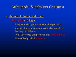 Arthropods Agricultural Entomology presentation | PPT