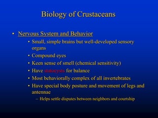 Arthropods Agricultural Entomology presentation | PPT