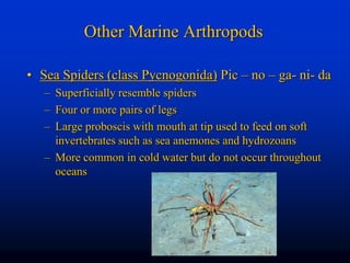 Arthropods Agricultural Entomology presentation | PPT