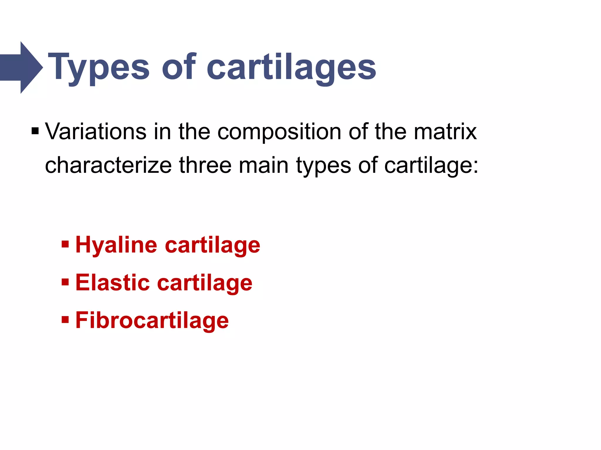 Cartilage Histology | PPTX