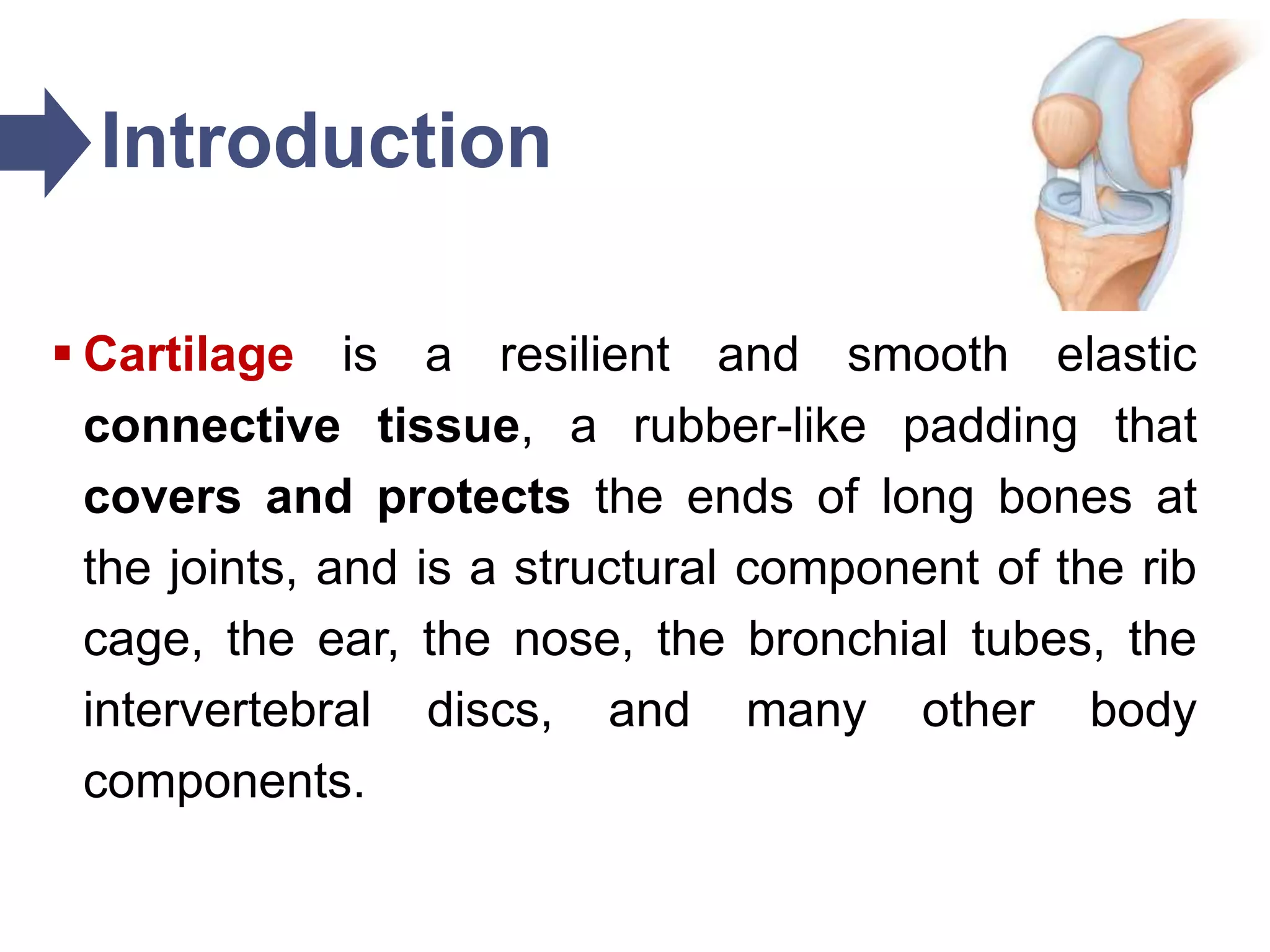 Cartilage Histology | PPTX