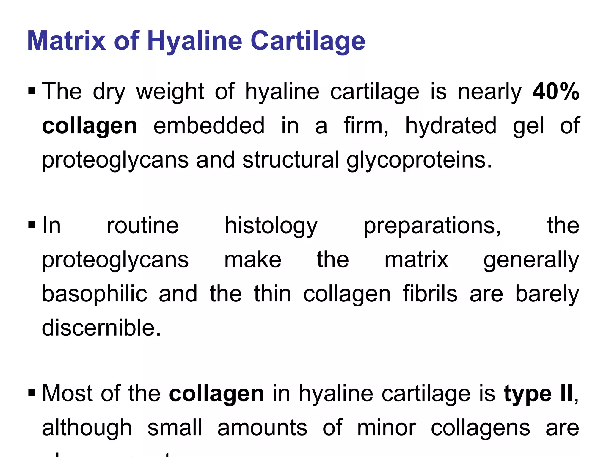 Cartilage Histology | PPTX