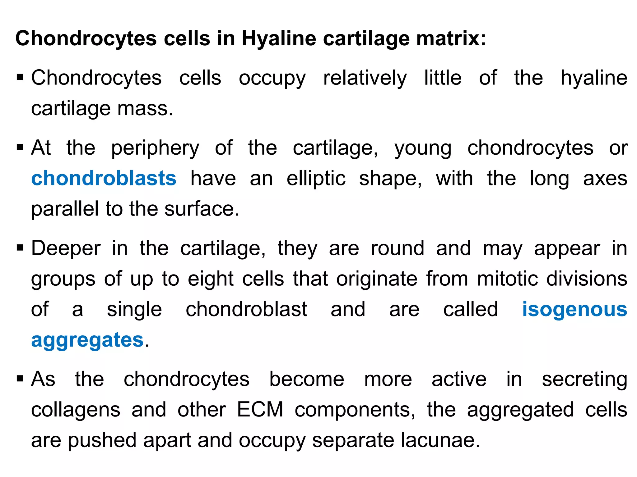 Cartilage Histology | PPTX