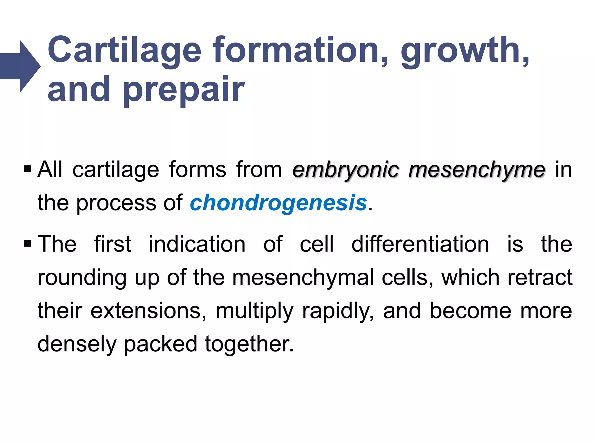 Cartilage Histology | PPTX