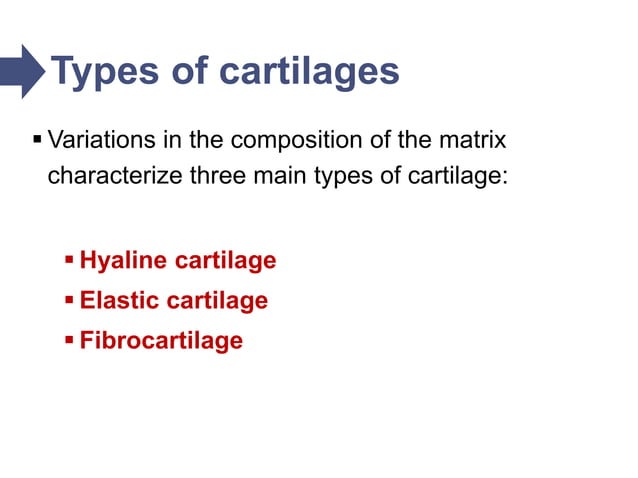 Cartilage Histology | PPTX