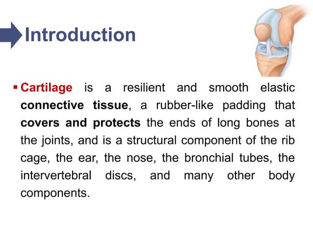 Cartilage Histology | PPTX