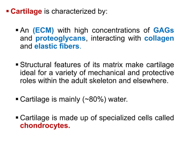 Cartilage Histology | PPTX