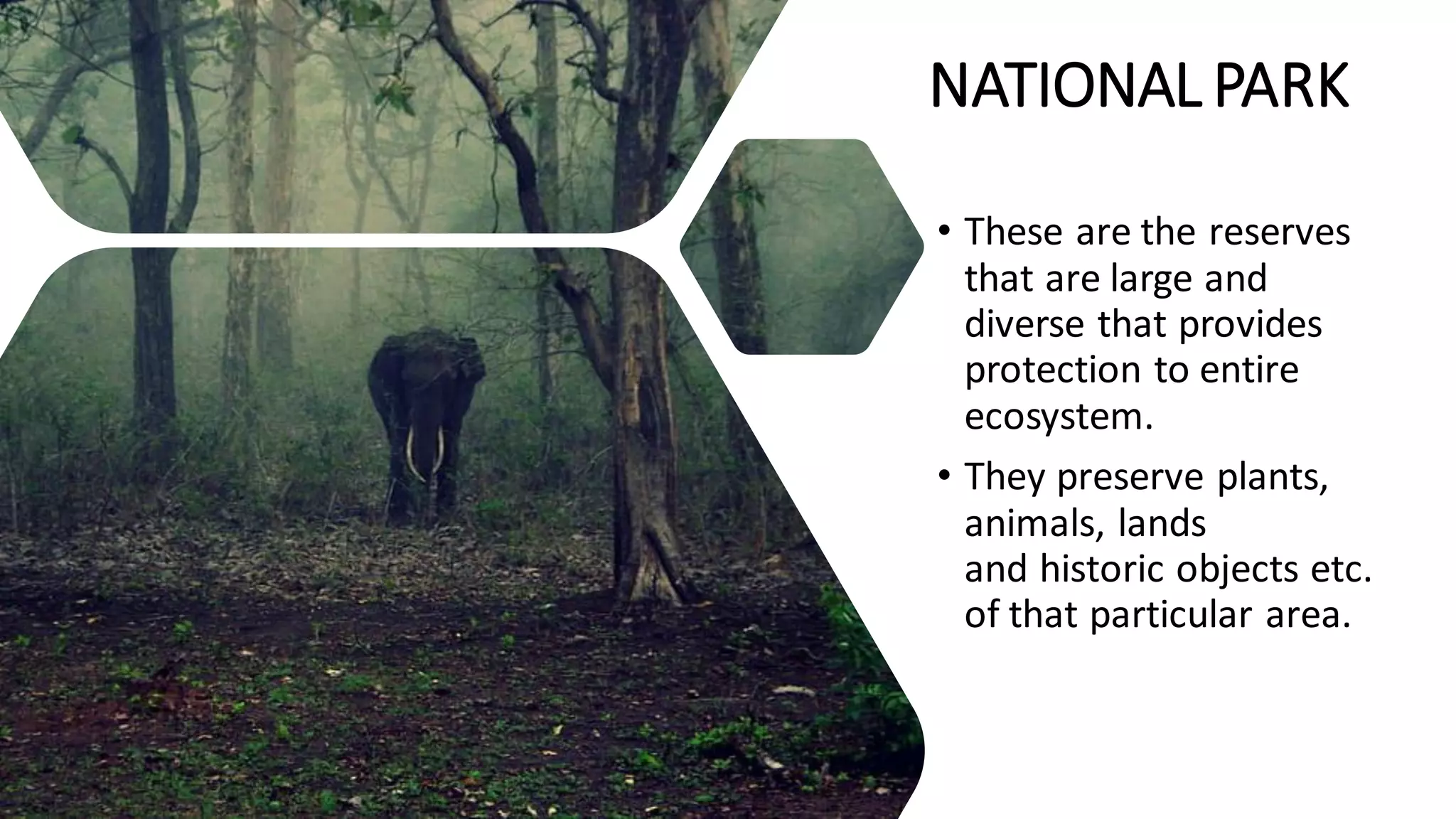 Chapter - 7, Conservation of Plants and Animals, Science, Class 8 | PDF