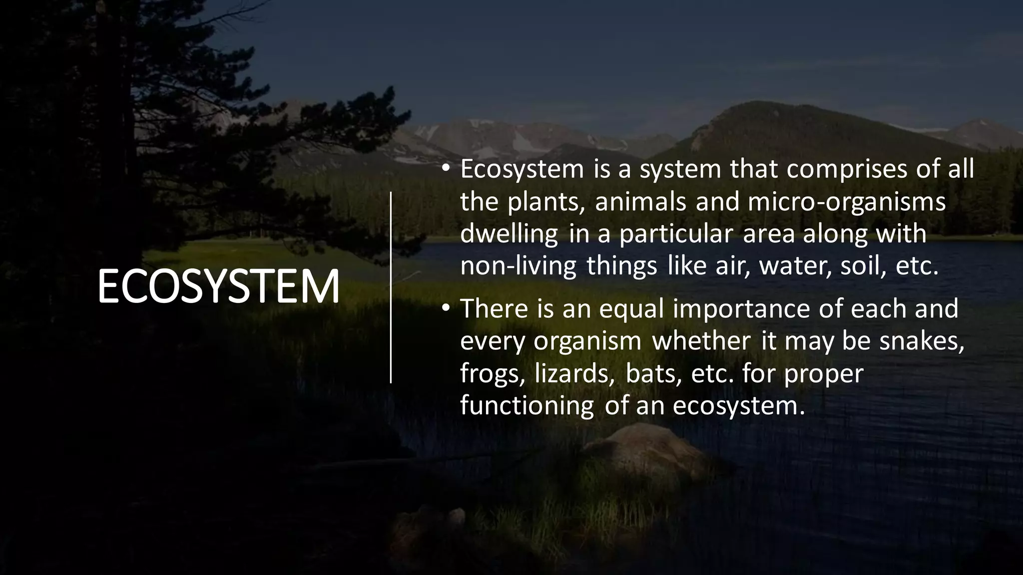 Chapter - 7, Conservation of Plants and Animals, Science, Class 8 | PDF