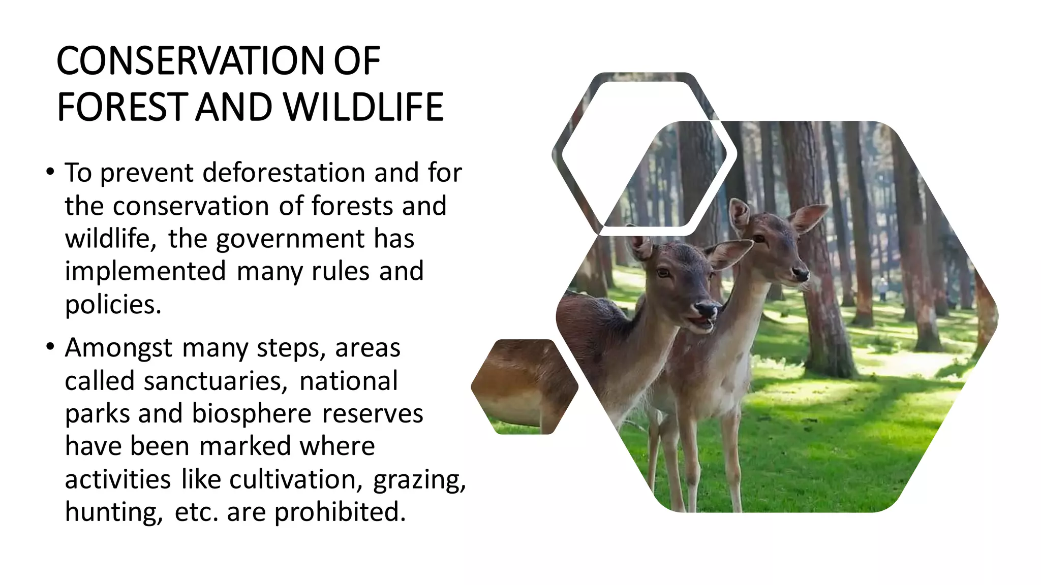 Chapter - 7, Conservation of Plants and Animals, Science, Class 8 | PDF