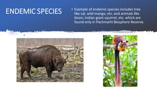 Chapter - 7, Conservation of Plants and Animals, Science, Class 8 | PDF