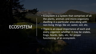 Chapter - 7, Conservation of Plants and Animals, Science, Class 8 | PDF