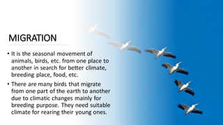 Chapter - 7, Conservation of Plants and Animals, Science, Class 8 | PDF