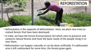 Chapter - 7, Conservation of Plants and Animals, Science, Class 8 | PDF
