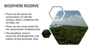 Chapter - 7, Conservation of Plants and Animals, Science, Class 8 | PDF