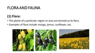 Chapter - 7, Conservation of Plants and Animals, Science, Class 8 | PDF