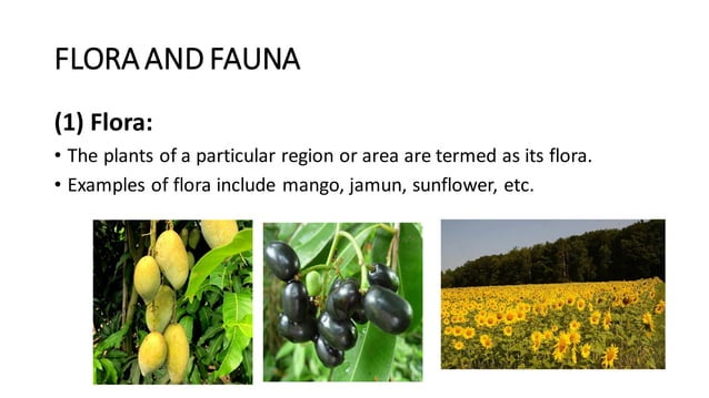 Chapter - 7, Conservation of Plants and Animals, Science, Class 8 | PDF