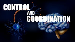 CHAPTER 7 - CONTROL & CO-ORDINATION.pdf