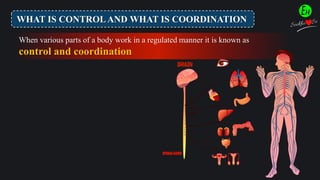 CHAPTER 7 - CONTROL & CO-ORDINATION.pdf