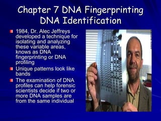 Chapter 7 Dna fingerprinting | PPTX | Genetics | Science
