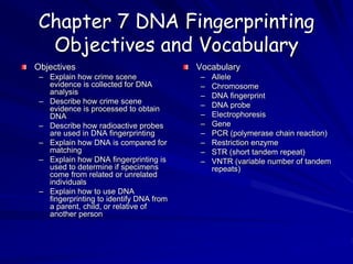 Chapter 7 Dna fingerprinting | PPTX
