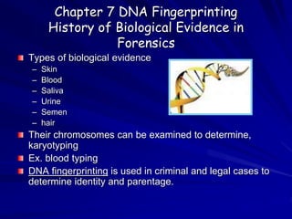 Chapter 7 Dna fingerprinting | PPTX | Genetics | Science