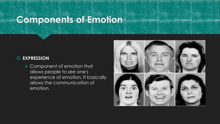 Chapter 7: EMOTIONS | PDF