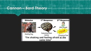 Chapter 7: EMOTIONS | PDF