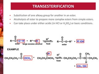 Chapter 7 ester | PDF