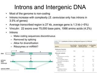Chapter 7 genome structure, chromatin, and the nucleosome (1) | PPTX