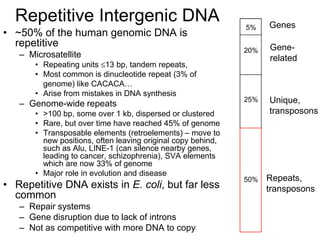 Chapter 7 genome structure, chromatin, and the nucleosome (1) | PPTX