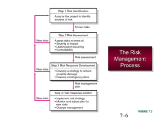 Chapter 7 managing risk | PPT