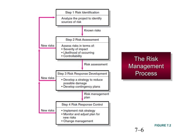 Chapter 7 managing risk | PPT